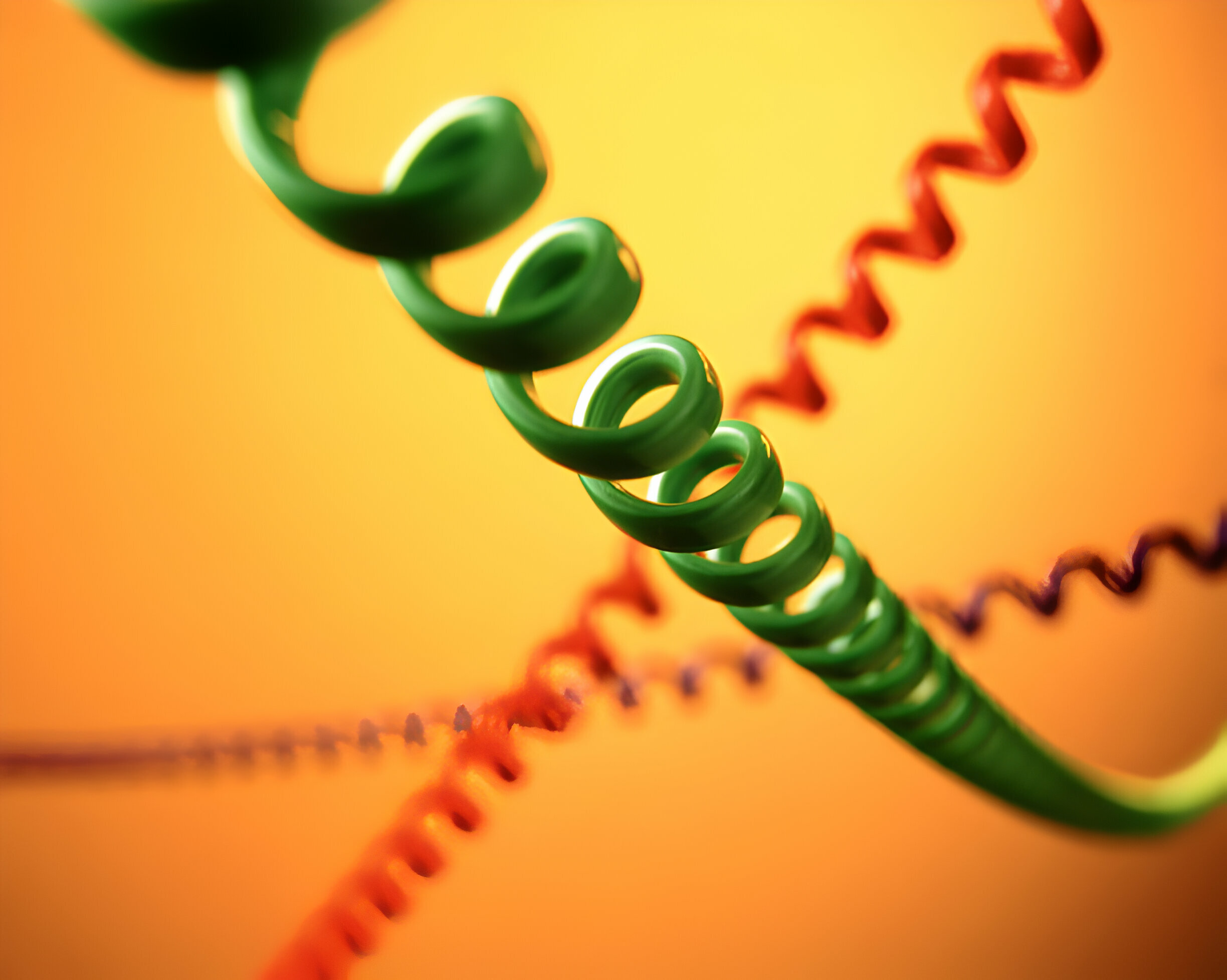 Curly Cords Chronicles: Discovering the Versatility of Coiled Wires